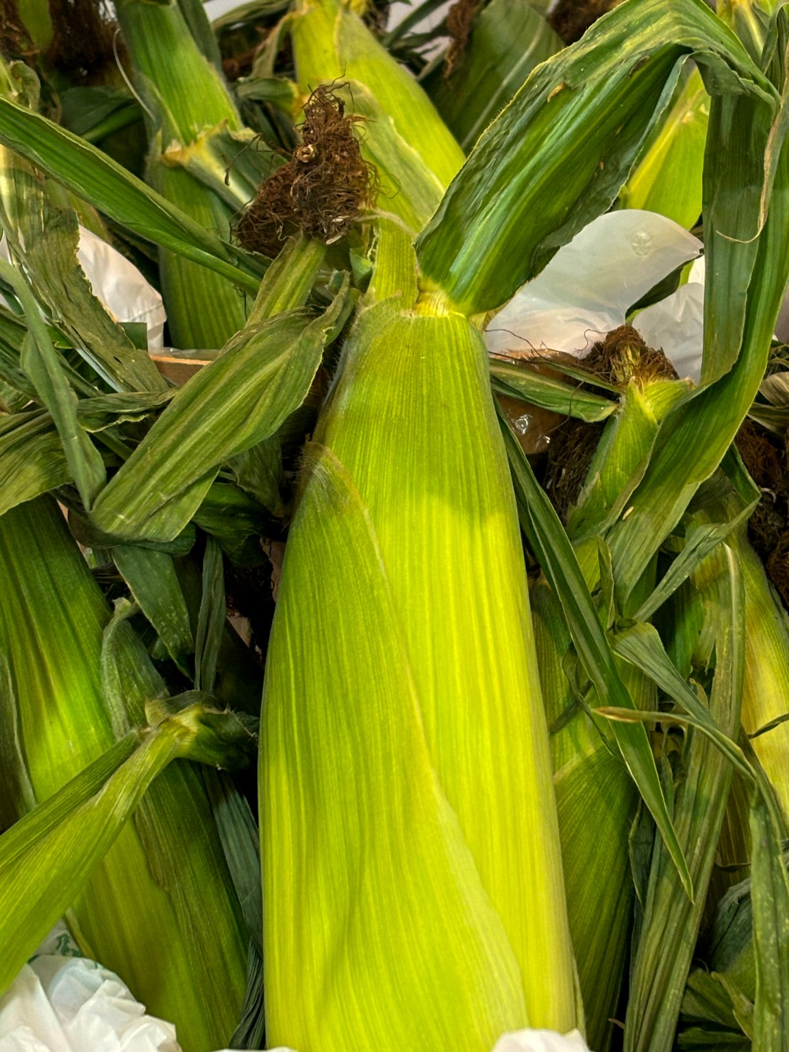 Fresh Local Corn - How Sweet It Is