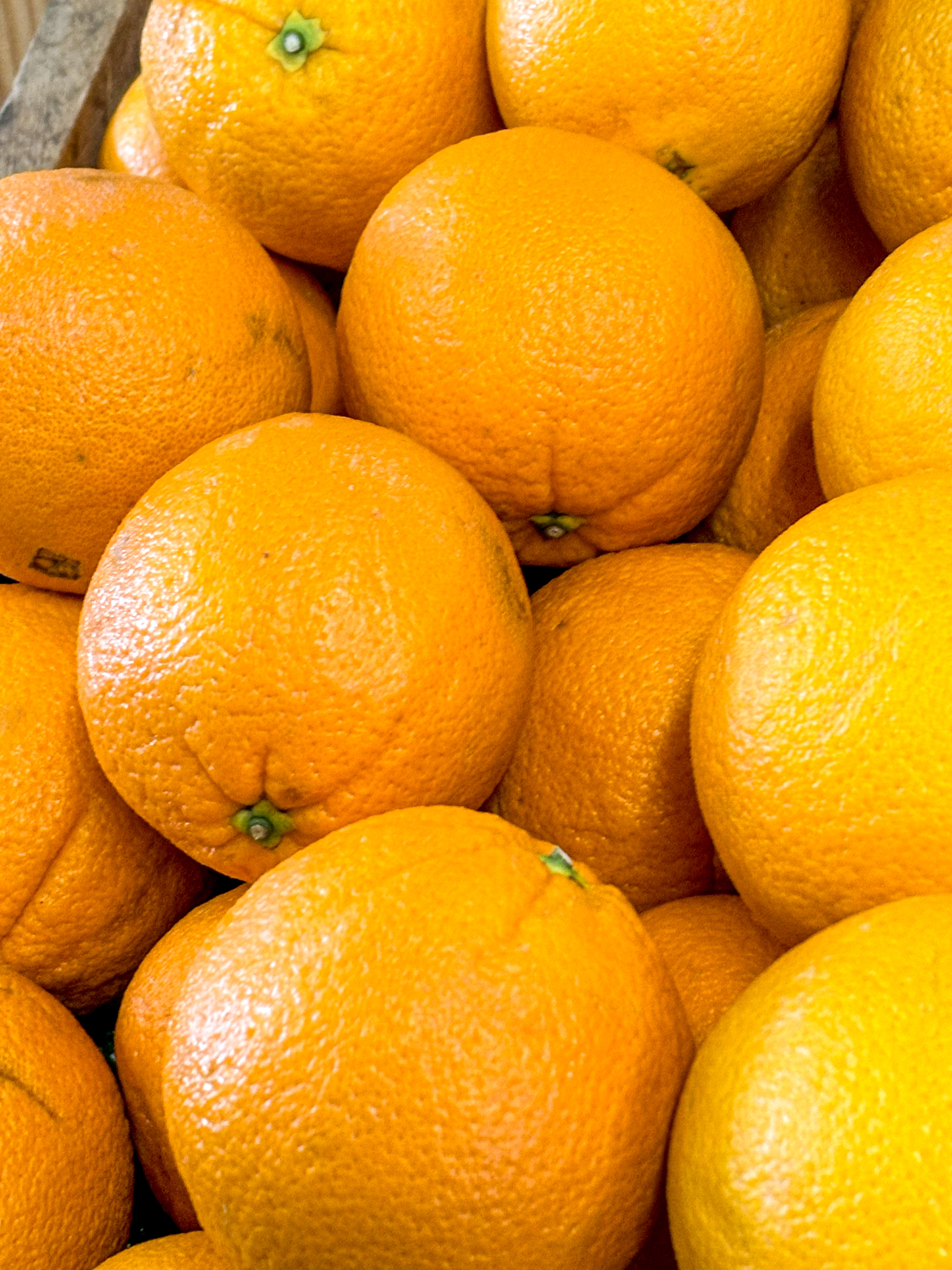 Juicy Navel Oranges - How Sweet It Is