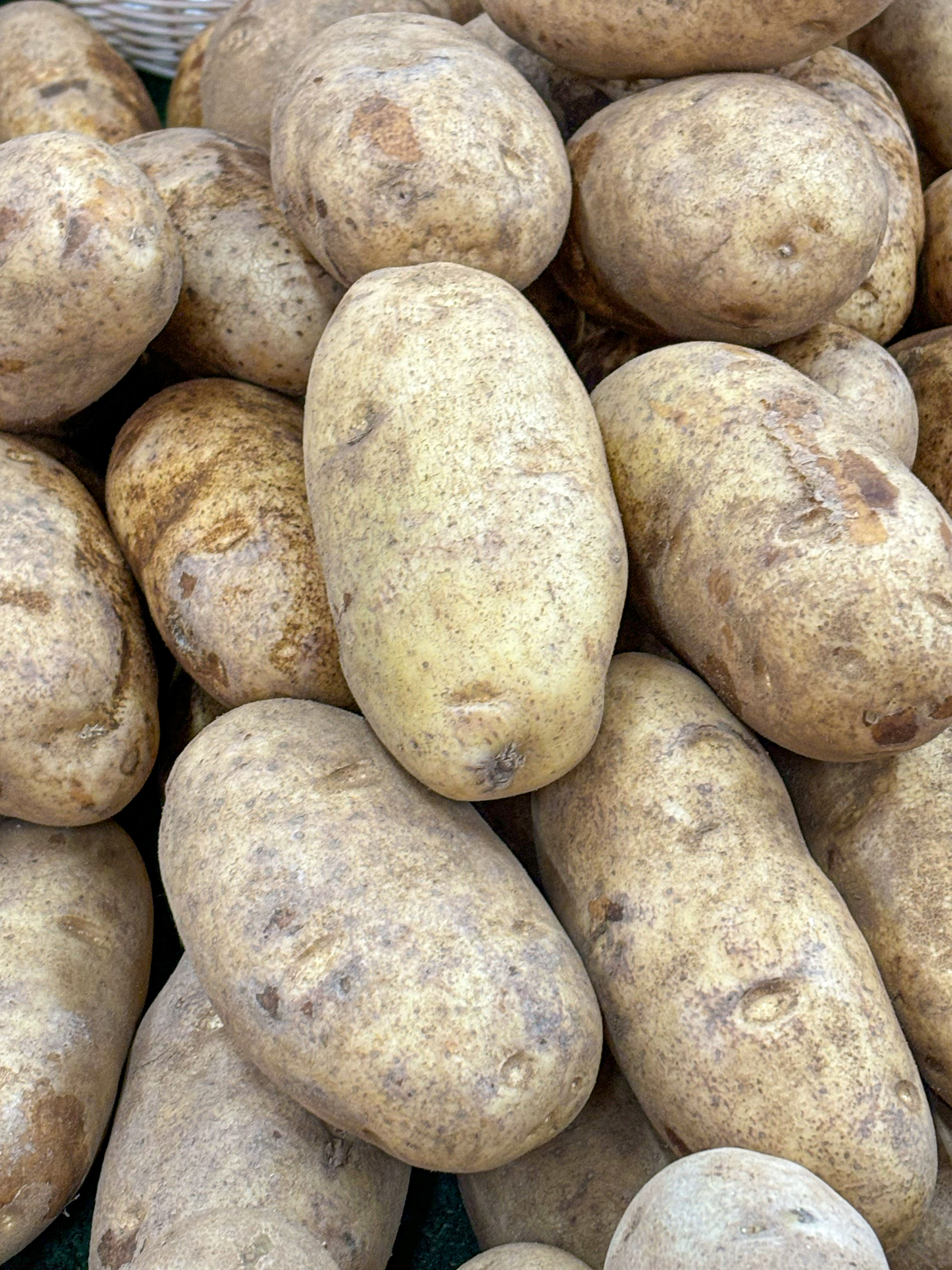 Russet Baking Potatoes - How Sweet It Is