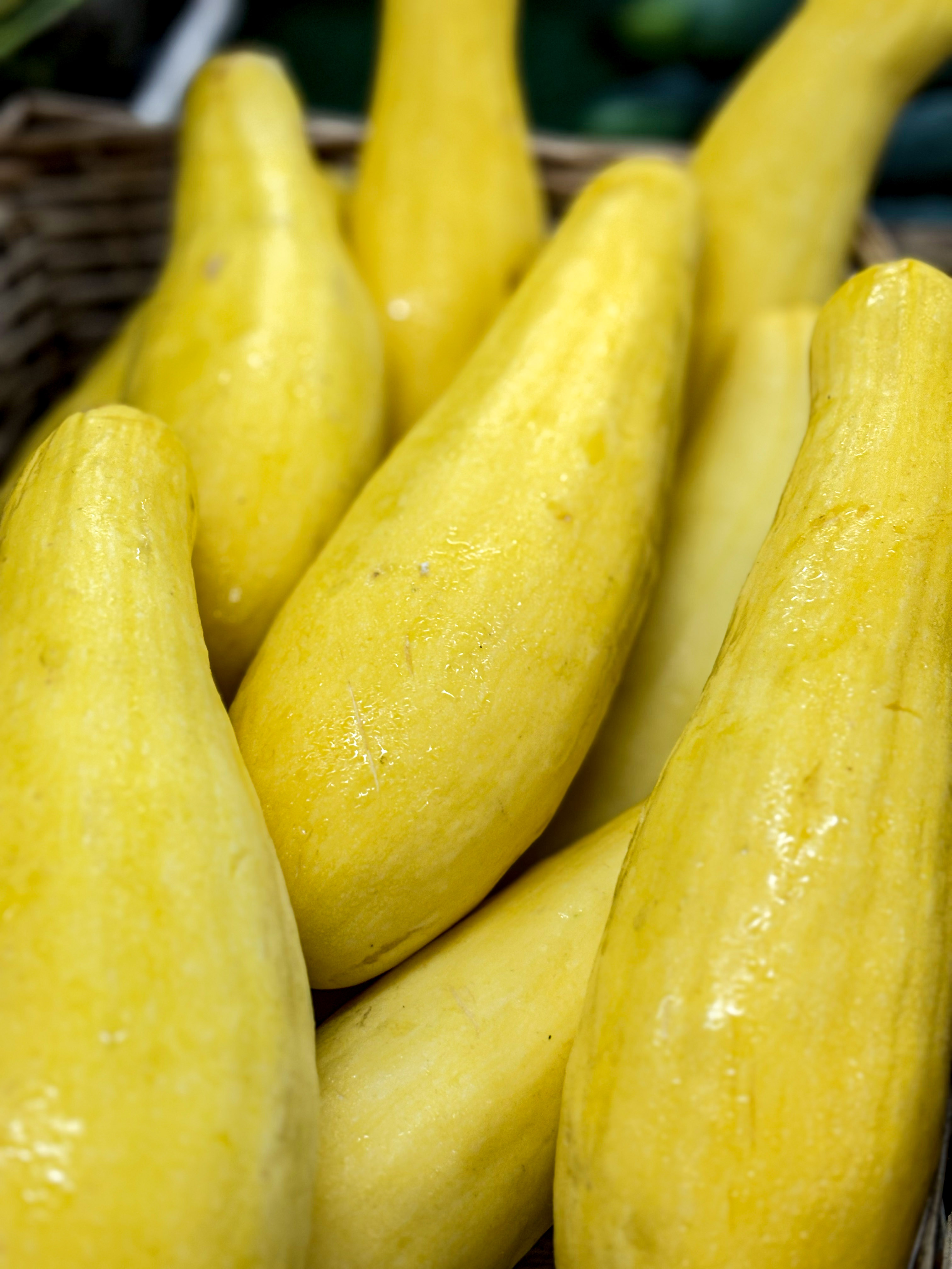 Yellow Squash - How Sweet It Is
