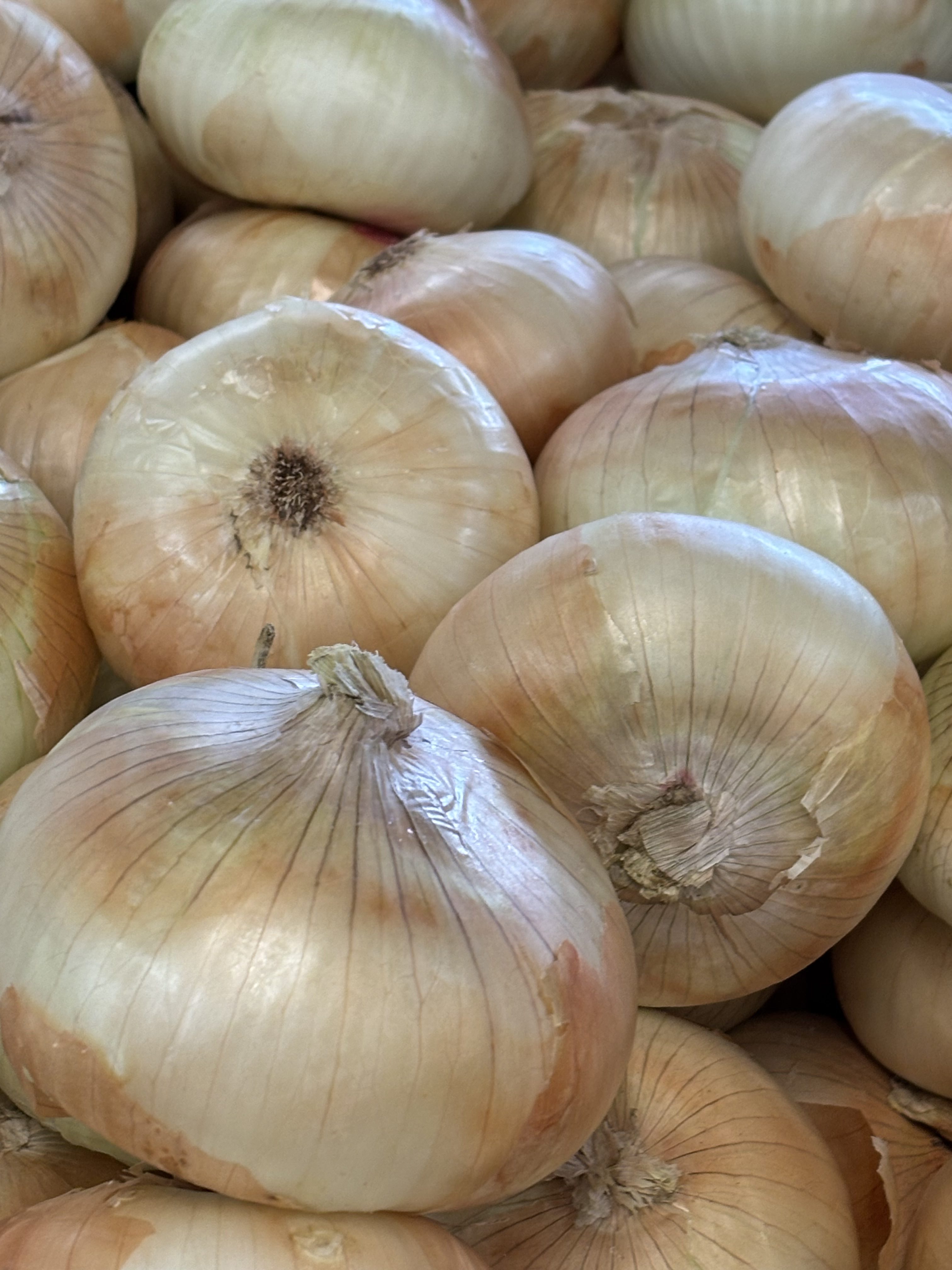 Yellow Onion p/LB - How Sweet It Is